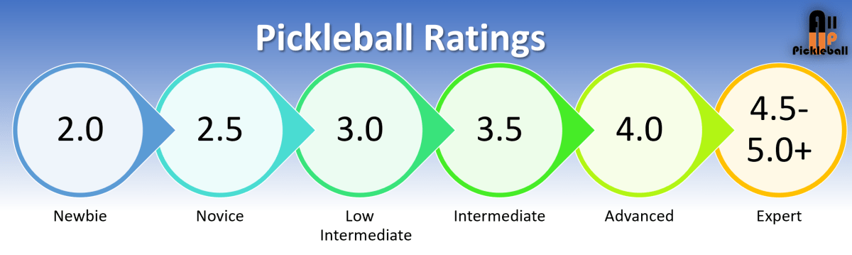 Understanding Pickleball ratings – All Up Pickleball – Cape Cod